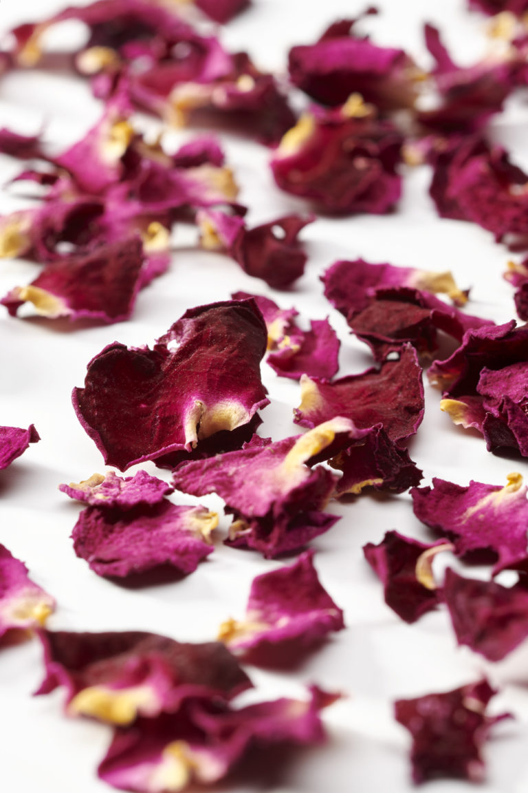 Tisane de Rose - Infusion bio de roses anciennes direct producteur